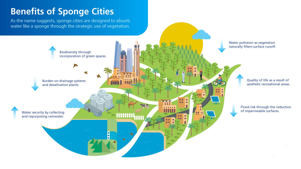 Urban flooding spurs interest in sponge cities. UPSC