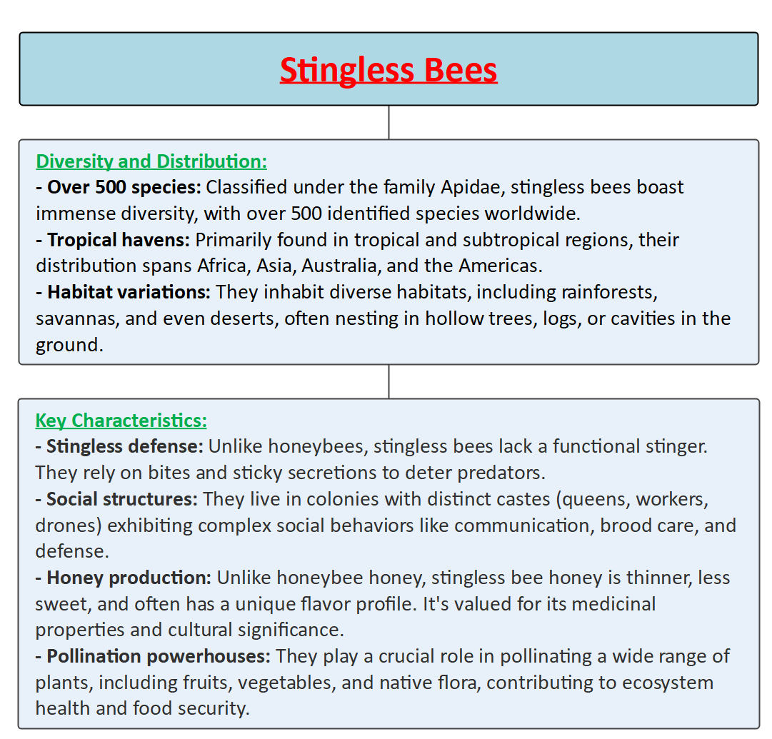 Indigenous Bee Conservation in the Amazon UPSC