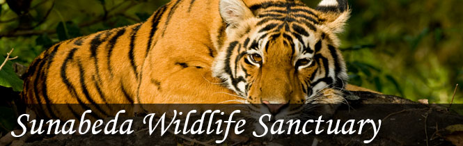 CRPF-Maoists Exchange Fire in Sunabeda Sanctuary UPSC