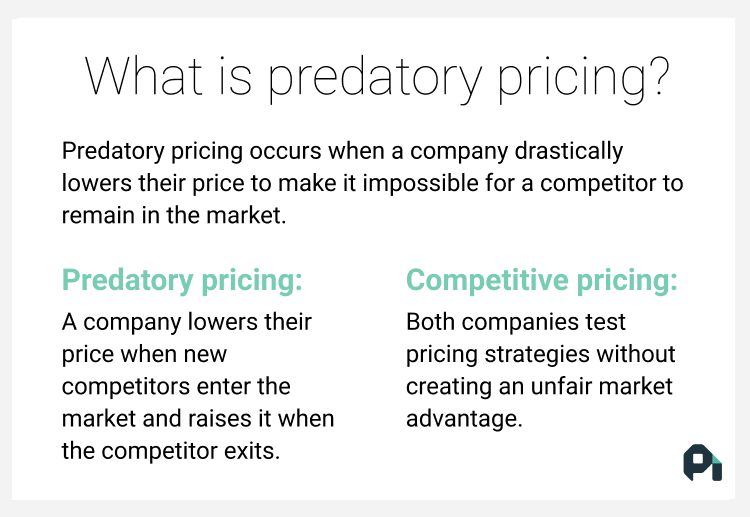 Predatory Pricing Examples