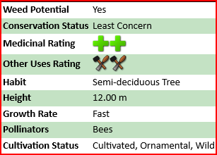 Senna Spectabilis: UPSC Botanical Exploration