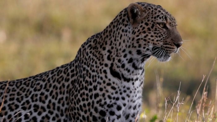 Sohagi Barwa Wildlife Sanctuary