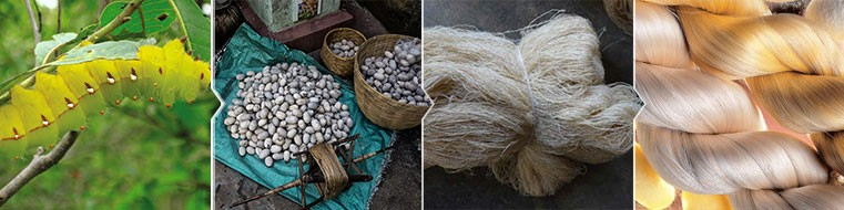 Tribal Women's Tasar Silk at Republic Day Parade UPSC