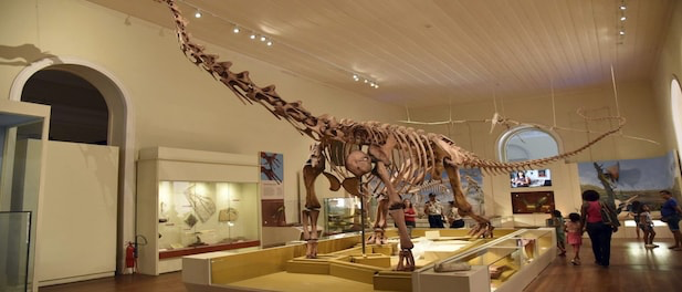 Discovery of Oldest Plant-Eating Dinosaur Fossil in Rajasthan