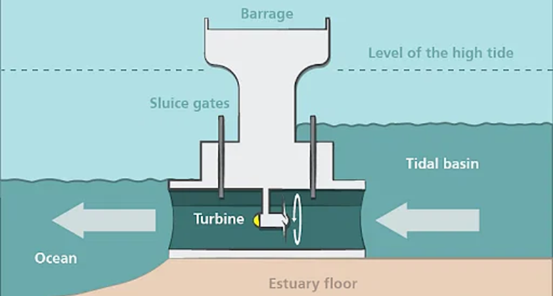 Explain The Working Of Tidal Energy Power Plant With A Renewable