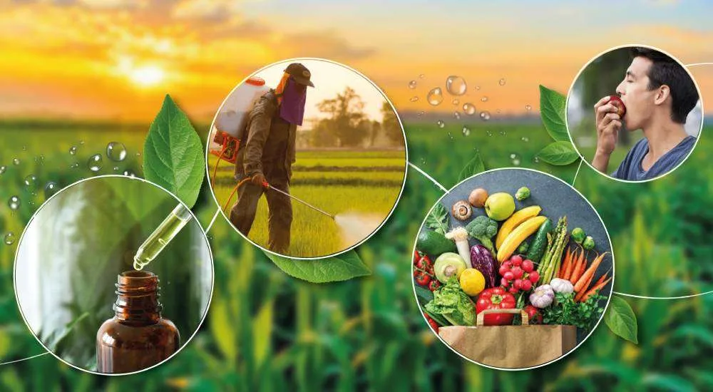 IISR Kozhikode creates 'Tricholime' lime formulation UPSC