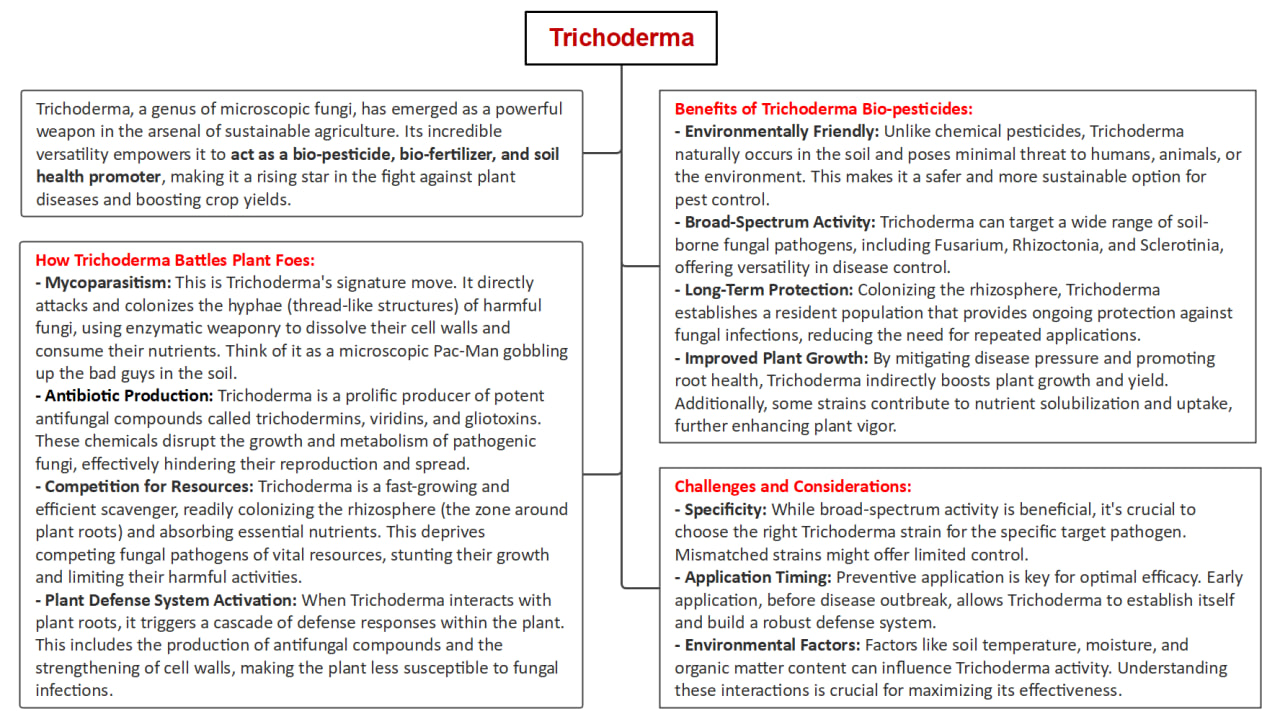 Iisr Kozhikode Creates Tricholime Lime Formulation Upsc