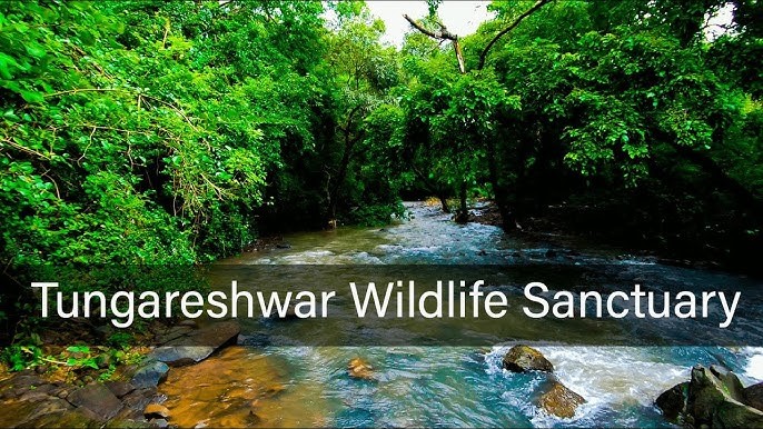 Tungareshwar Wildlife Sanctuary