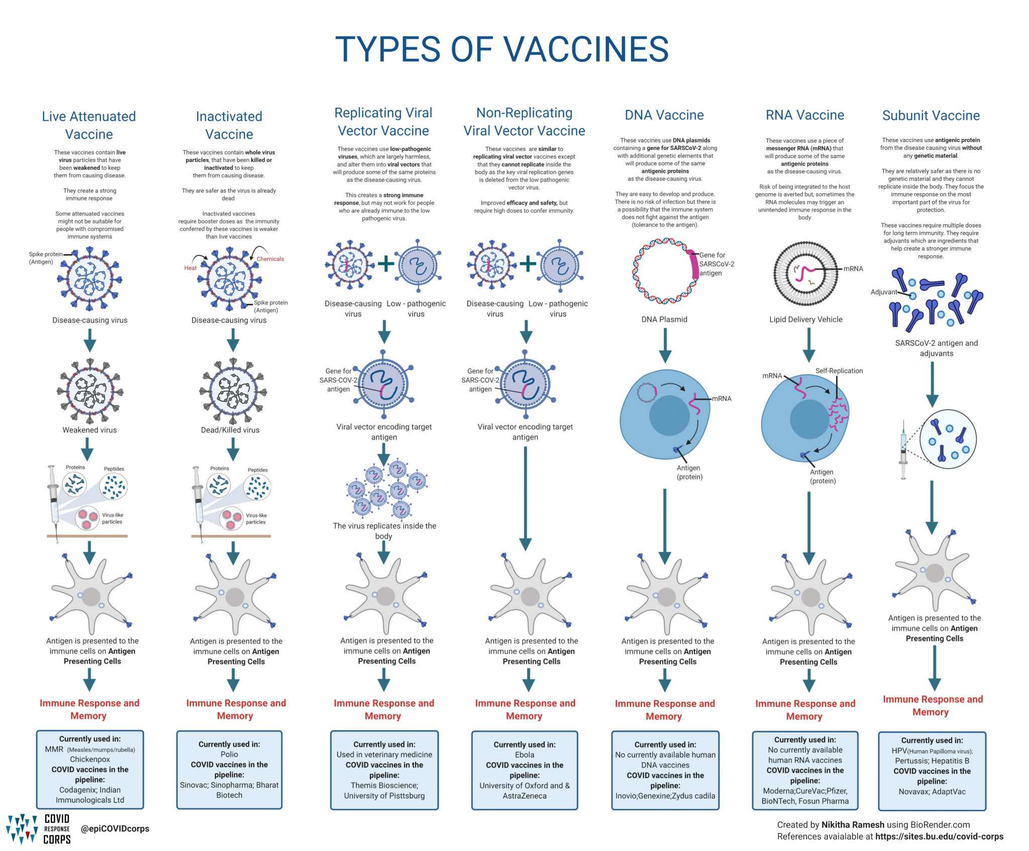 TYPES OF VACCINES