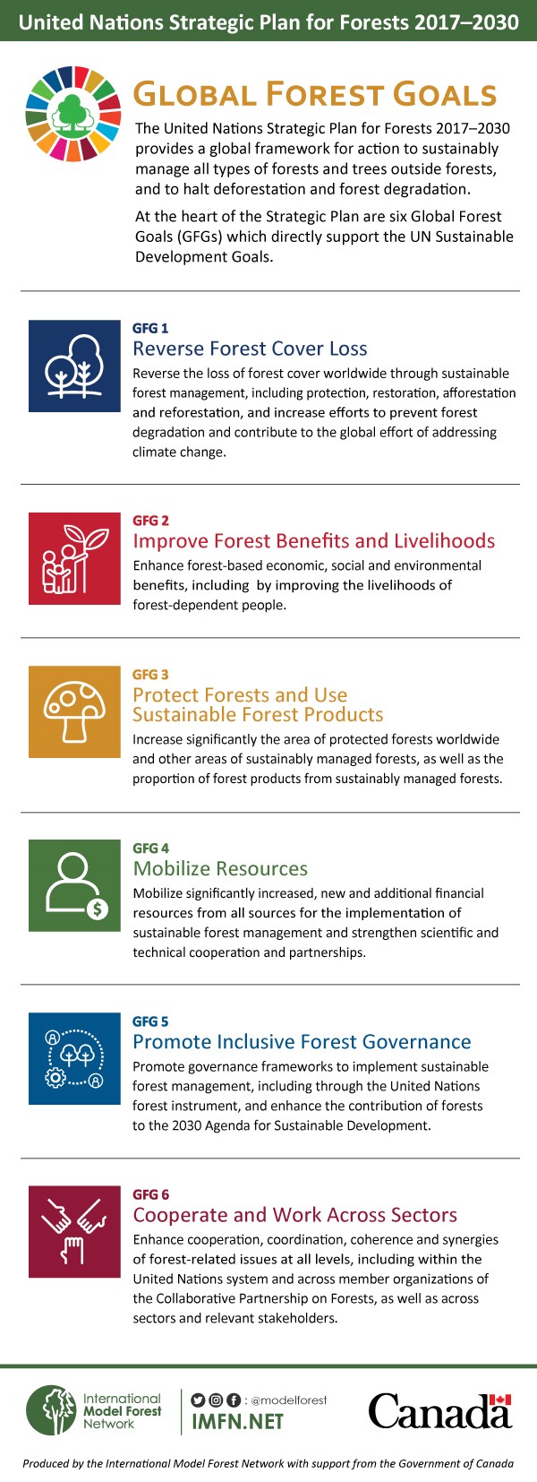 United Nations Forum on Forests (UNFF)