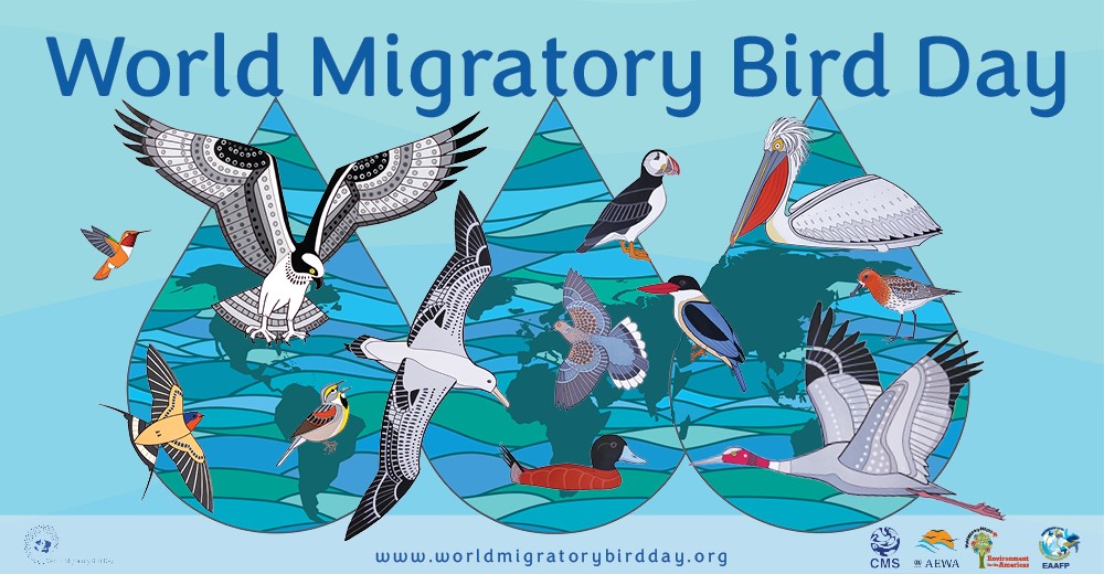 Climate Change Effects on Migratory Birds UPSC