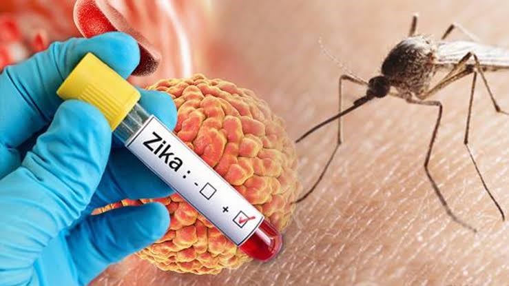 Zika Virus UPSC