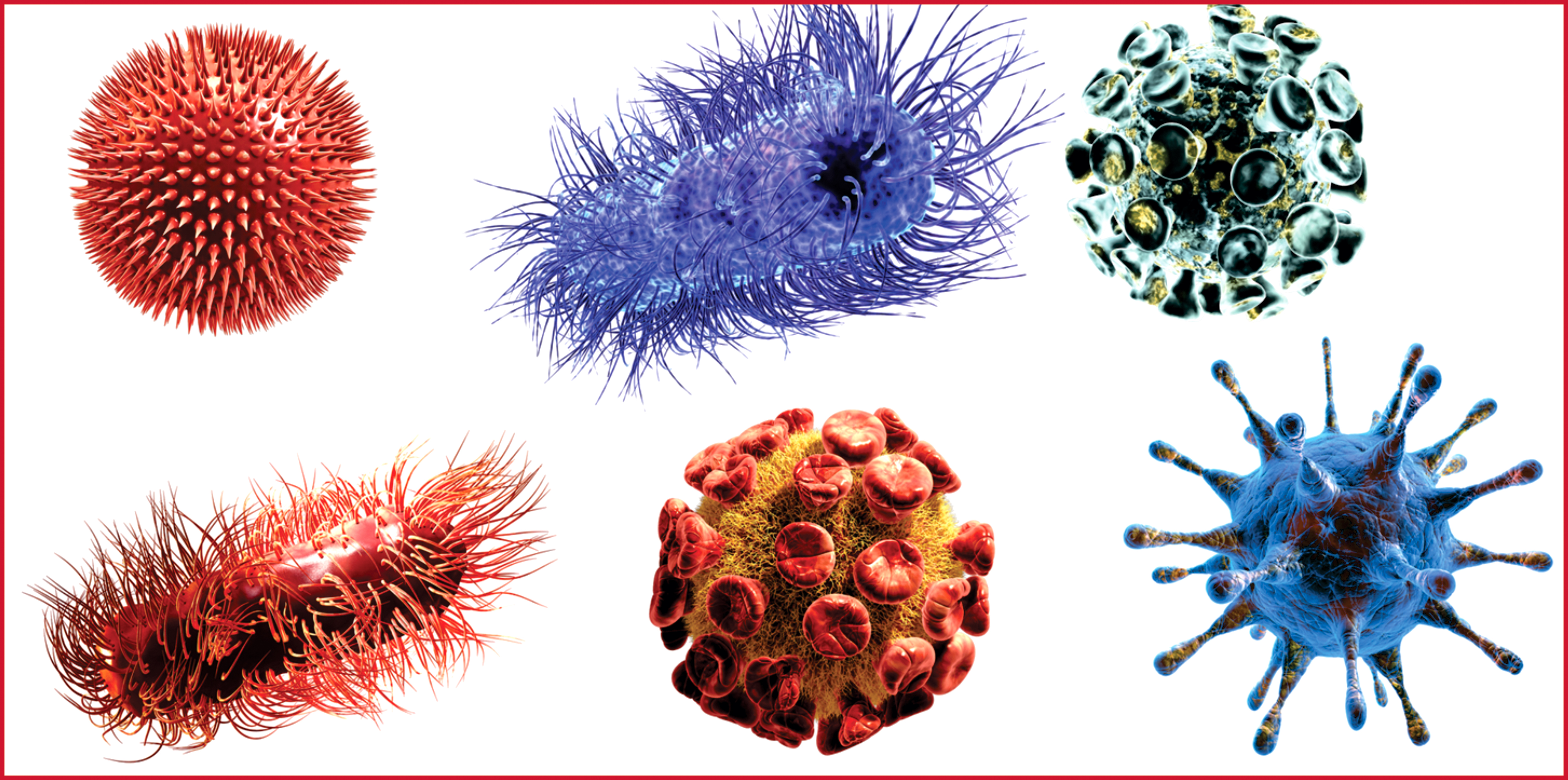 ALL YOU NEED TO KNOW ABOUT VIRUSES