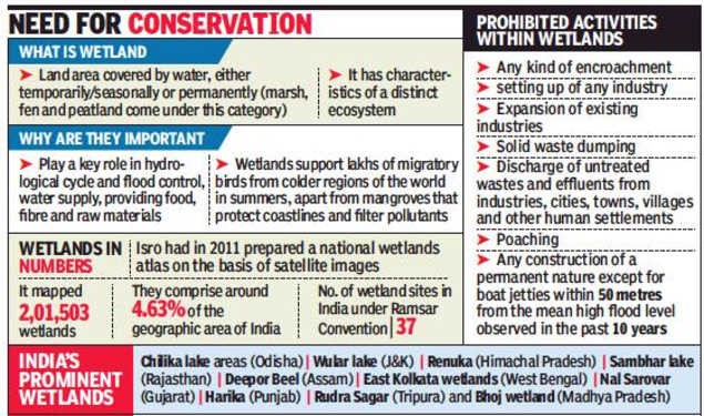 FIGHTER STRENGTH OF IAF | IAS GYAN