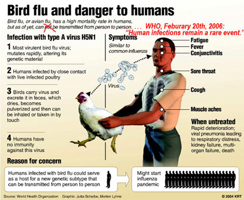 BIRD FLU UPSC, SWINE FLU UPSC, INFLUENZA UPSC, FLU VIRUS UPSC, TYPES OF ...