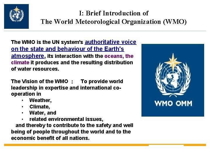 WMO Report