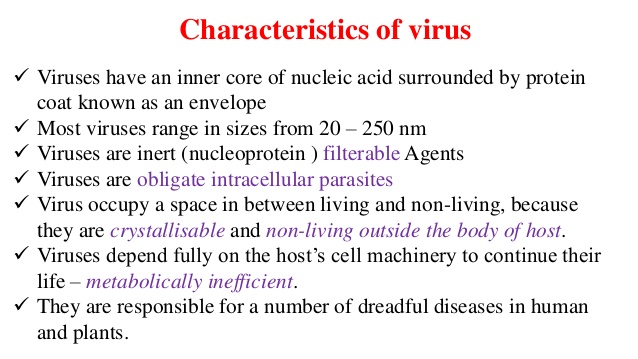 ALL YOU NEED TO KNOW ABOUT VIRUSES