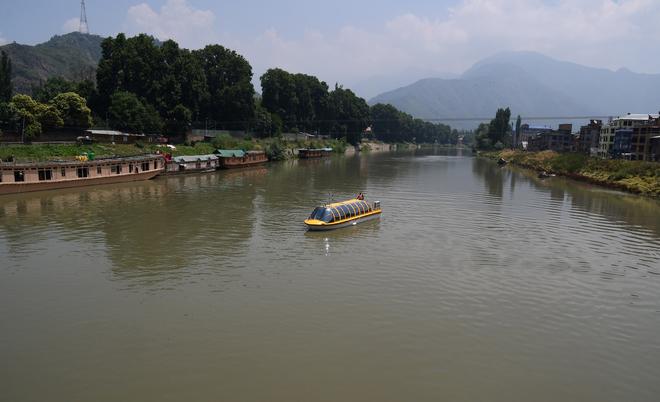 River afforestation plan