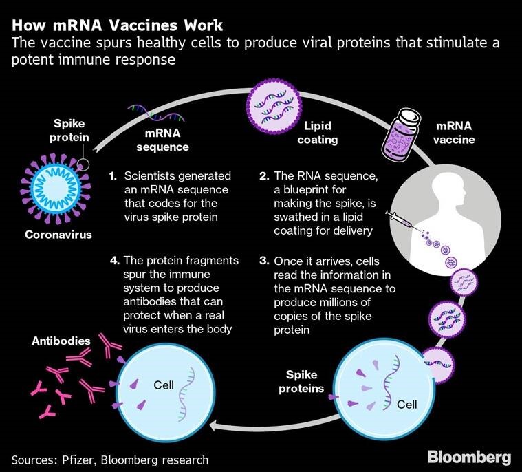 Self-Amplifying mRNA Vaccine