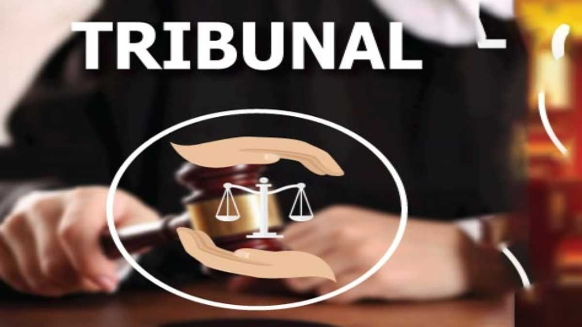 TRIBUNALS