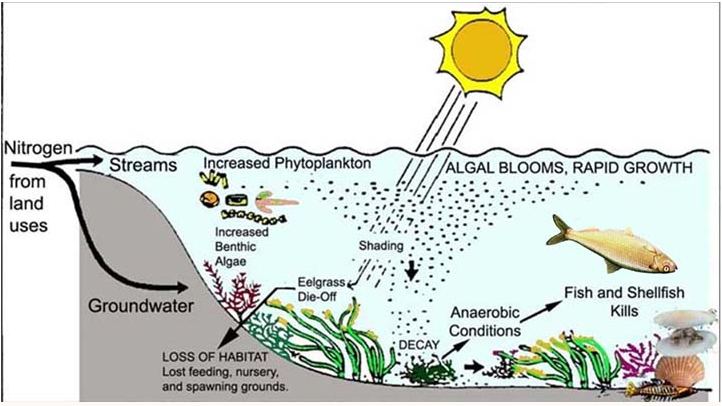 NITROGEN RICH WORLD