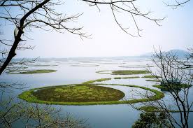 Two More Ramsar Sites | IAS Gyan