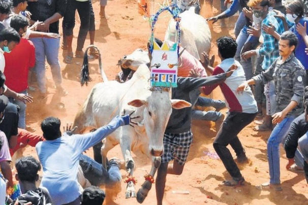 “Pasuvula Panduga”