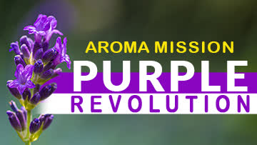 Purple Revolution