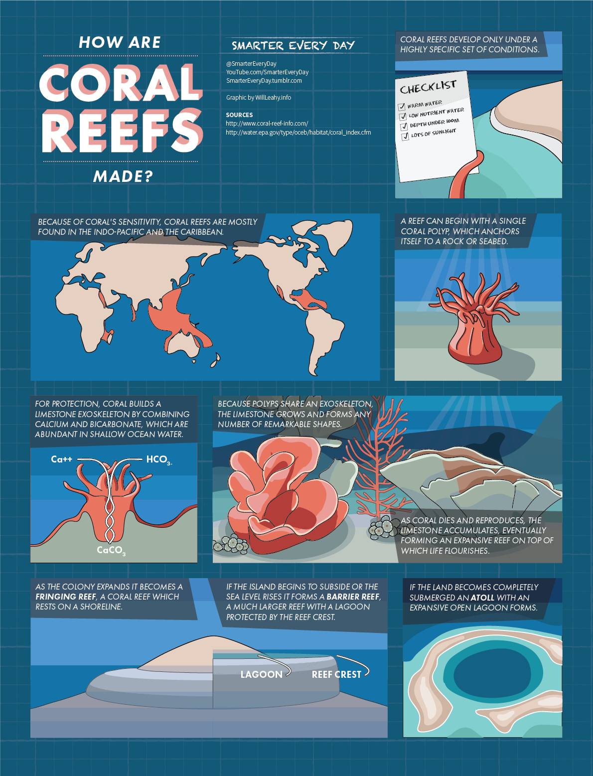 Coral reefs