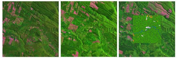 FRA Remote Sensing Survey