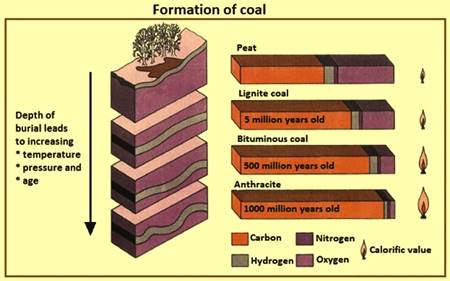 COAL INDUSTRY