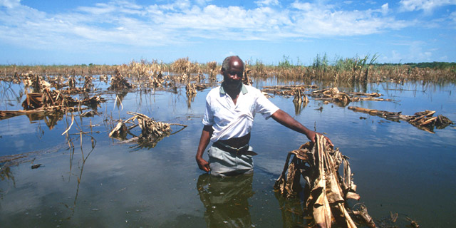 IMPACT OF NATURAL DISASTERS ON AGRICULTURE
