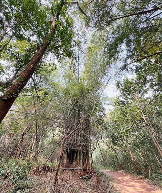 Ecotourism in Barbara forest