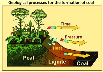 COAL INDUSTRY
