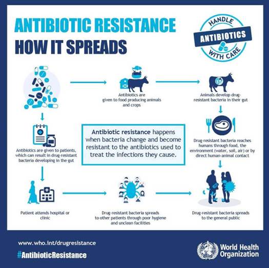 ANTI-MICROBIAL RESISTANCE | IAS GYAN