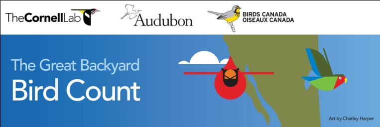 Great Backyard Bird Count