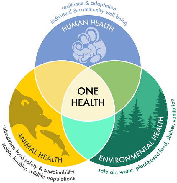 ‘ONE HEALTH’ APPROACH | IAS GYAN