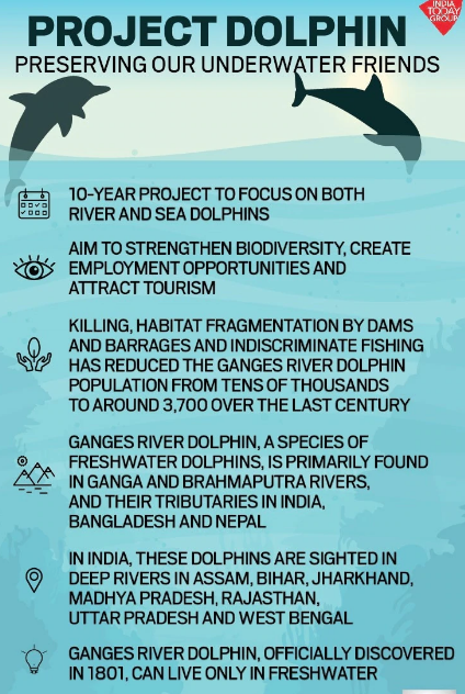 Indus river dolphin