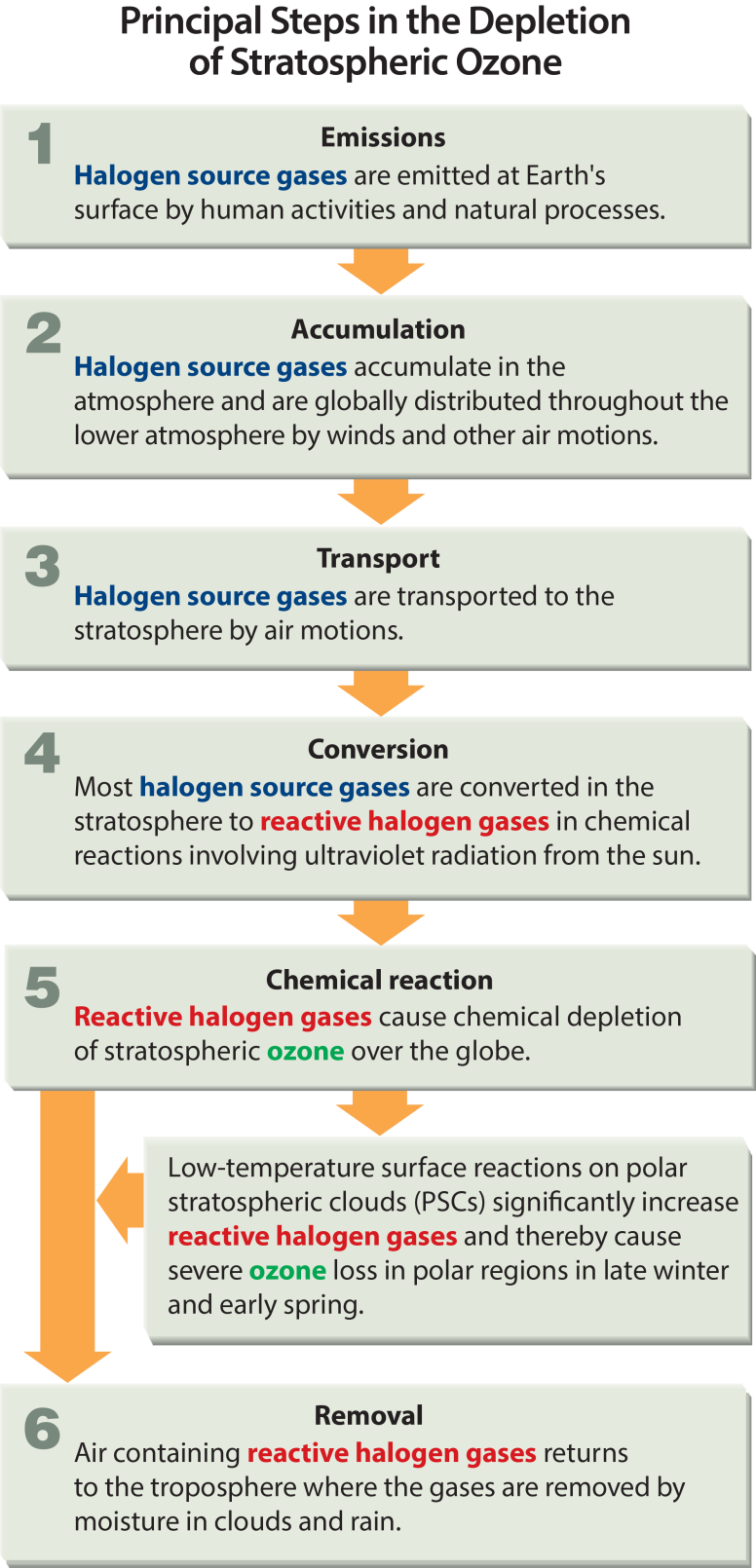 Ozone Depletion Process