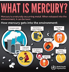 Mercury pollution