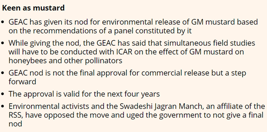 DMH (Dhara Mustard Hybrid)-11 | IAS GYAN