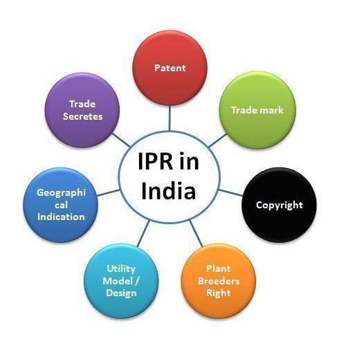 INTELLECTUAL PROPERTY RIGHTS (IPR)