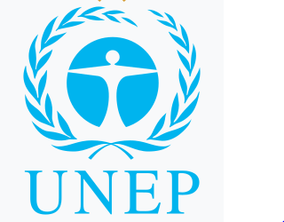 UN Environment Programme (UNEP)