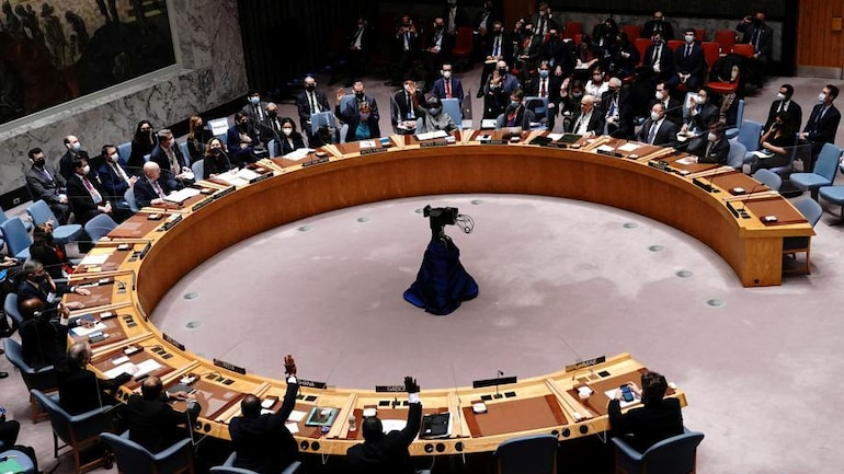 United Nations Security Council (UNSC)