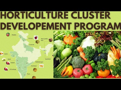 Horticulture Cluster Development Programme