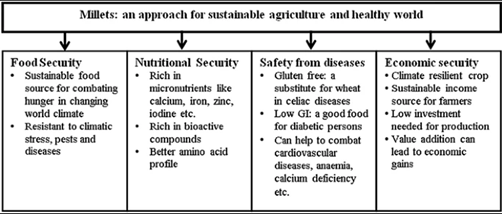 MILLET | IAS GYAN