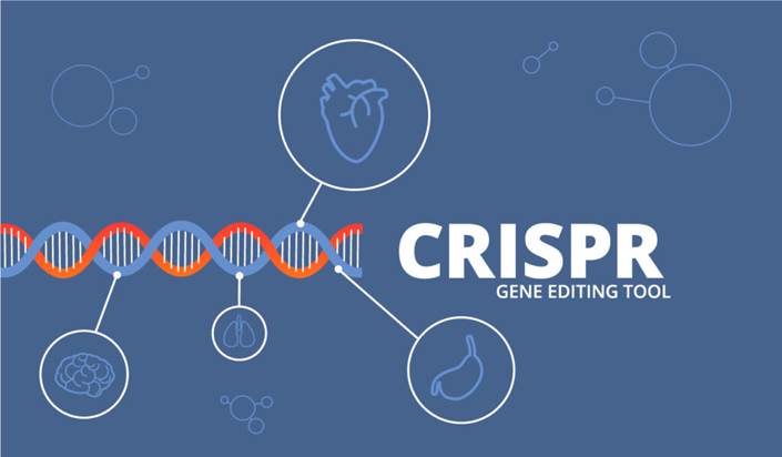 CRISPR | IAS GYAN