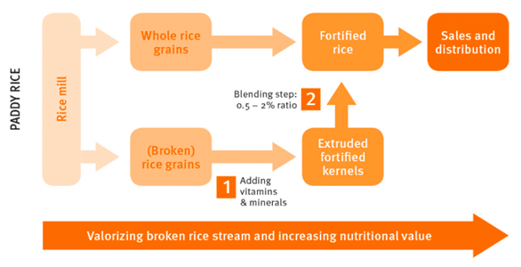 FORTIFIED RICE | IAS GYAN