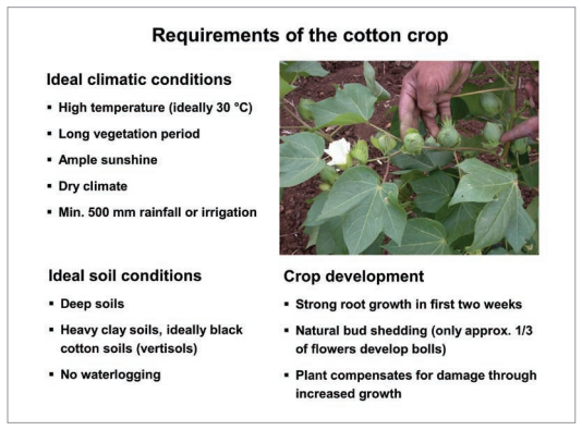 Cotton industry | Cotton UPSC | Cotton Textile Idustry | IAS GYAN