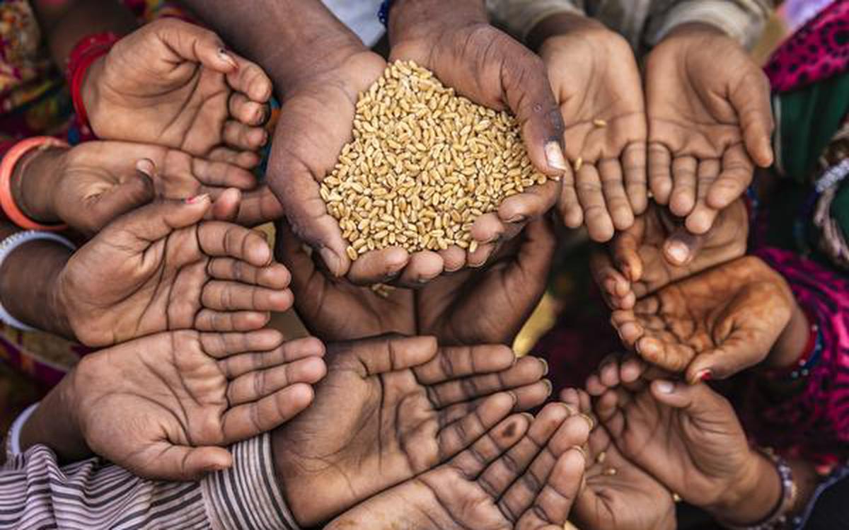FOOD SECURITY